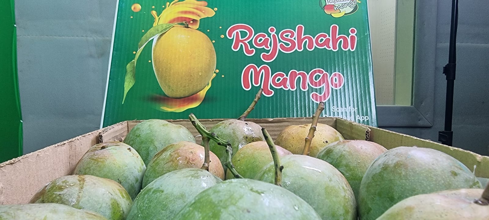 রাজশহী আম | Rajshahi Mango | Chemical-Free Fresh Mangoes from Our ...