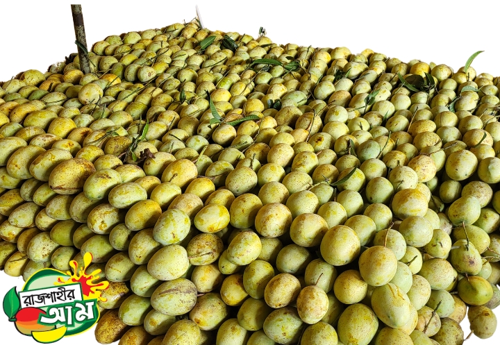 রাজশহী আম | Rajshahi Mango | Chemical-Free Fresh Mangoes from Our ...