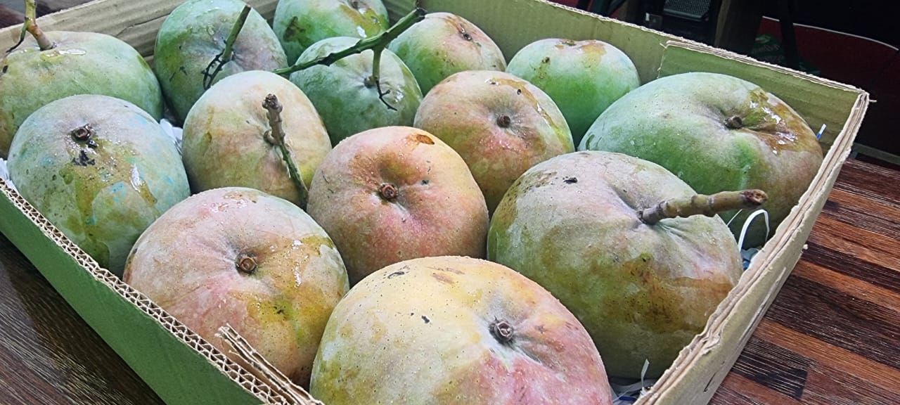 রাজশহী আম | Rajshahi Mango | Chemical-Free Fresh Mangoes from Our ...