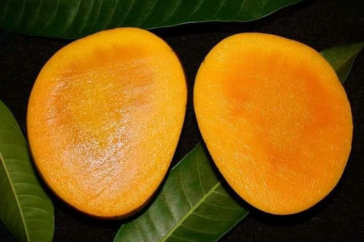 রাজশহী আম | Rajshahi Mango | Chemical-Free Fresh Mangoes from Our ...